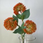 Allium Flower: Meaning, Symbolism, and Colors | Pansy Maiden