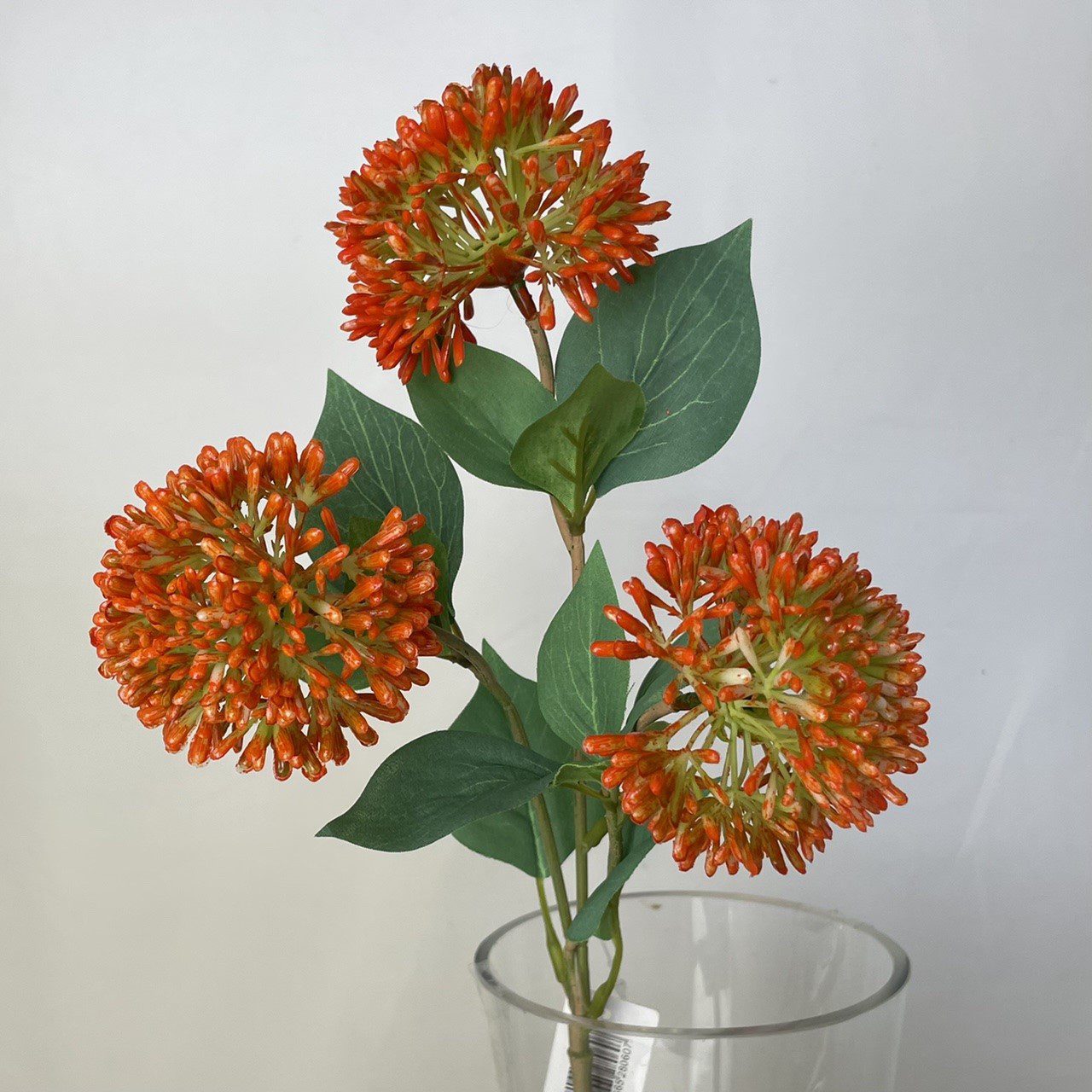 Allium Flower: Meaning, Symbolism, and Colors | Pansy Maiden